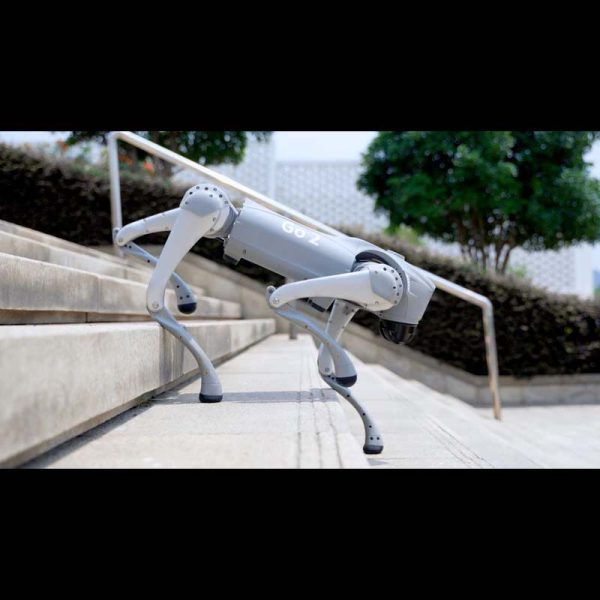 Unitree – Go EDU - Quadruped Robot Dog - Gruber Power Services