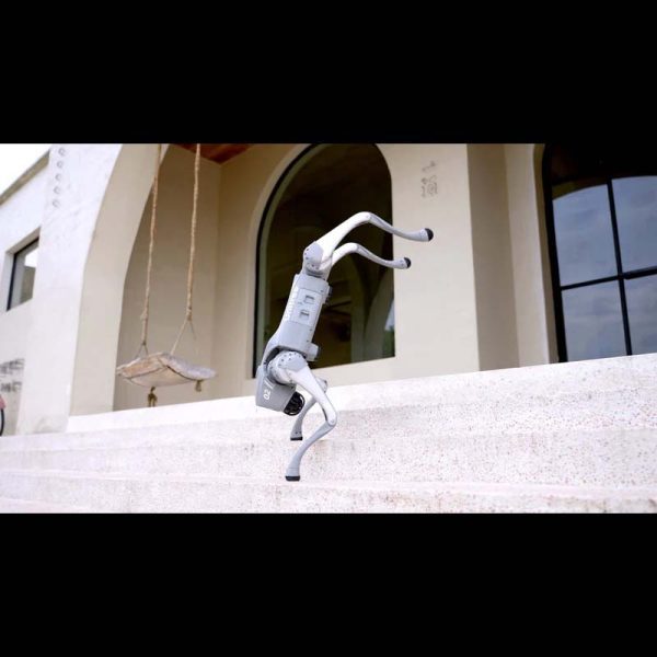 Unitree – Go EDU - Quadruped Robot Dog - Gruber Power Services